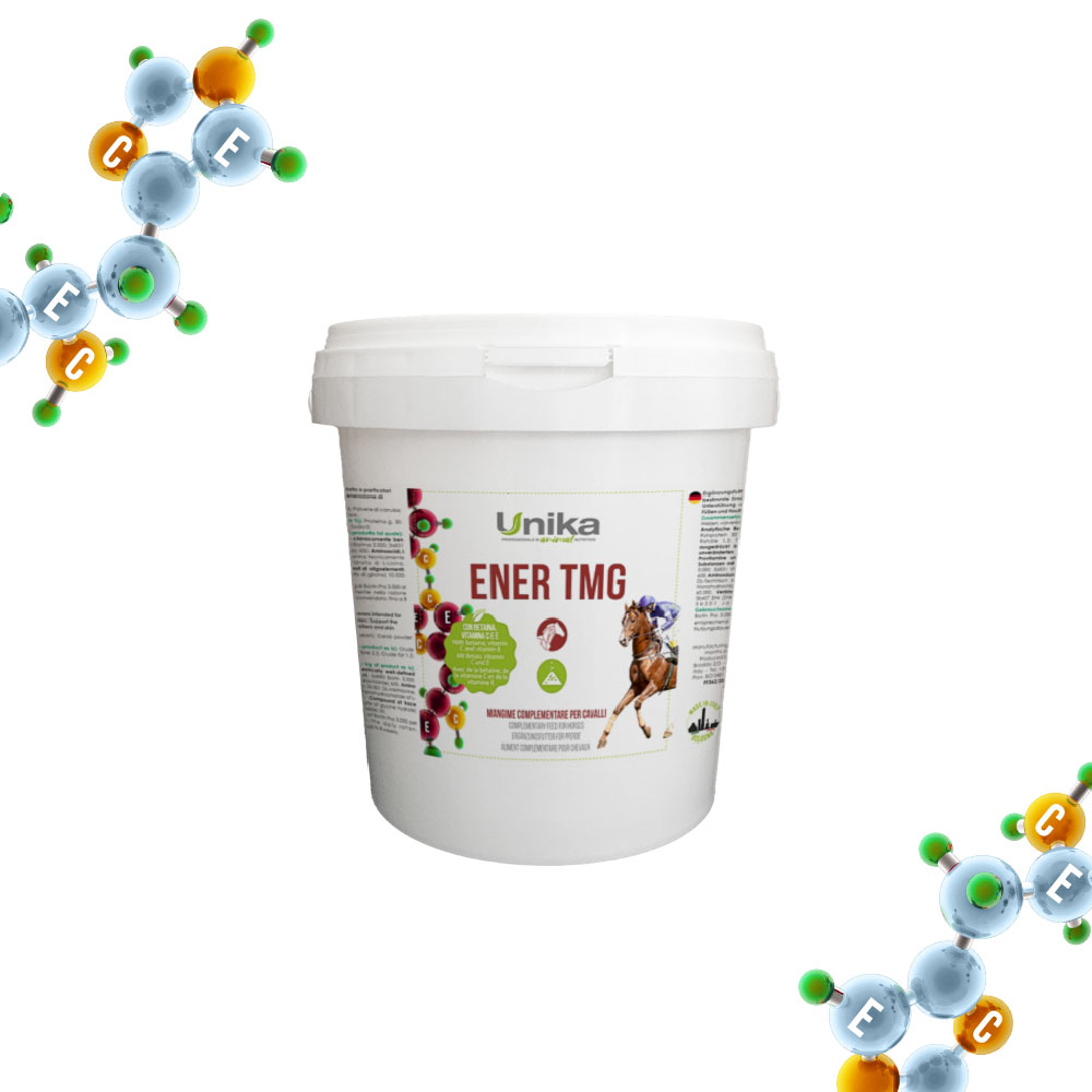 Ener TMG - Unika