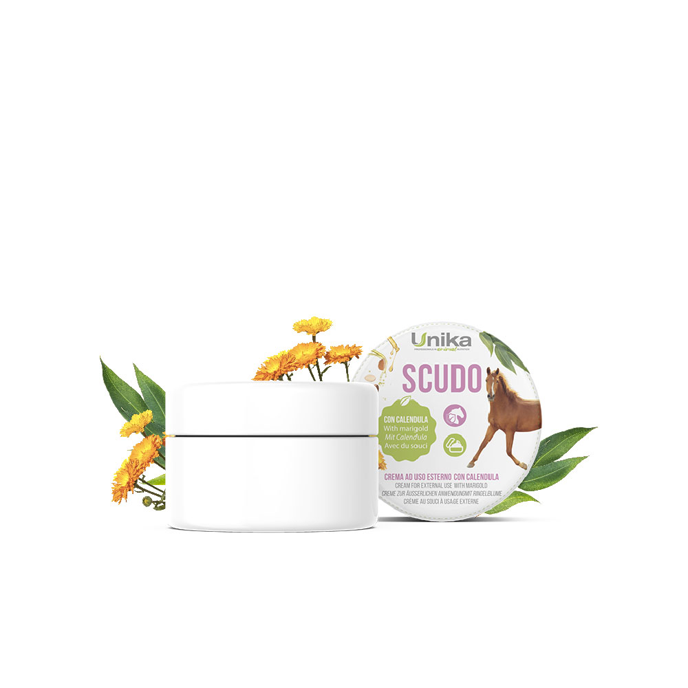 Scudo - Unika