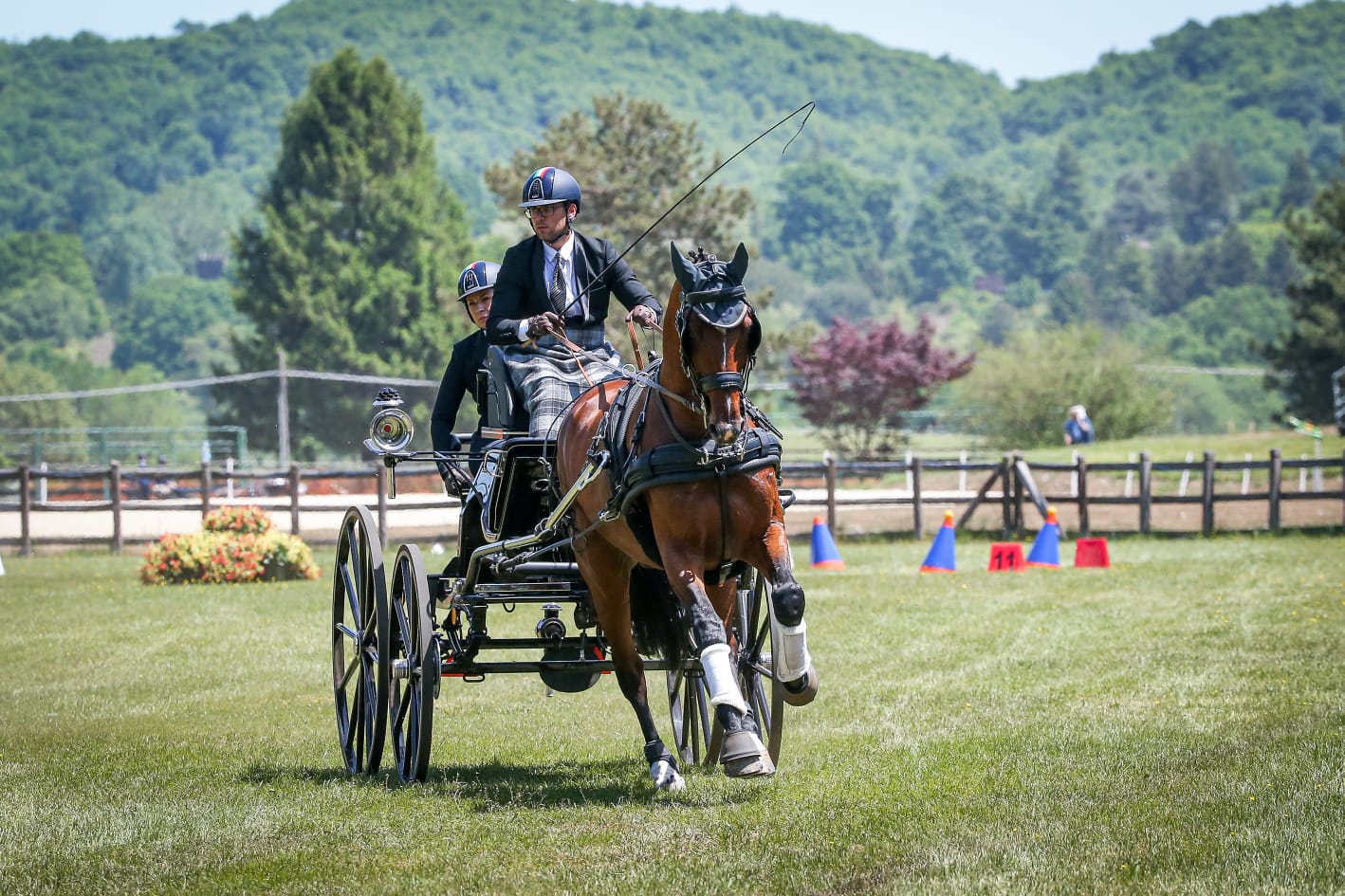 MIRKO CASSOTTI - Unika