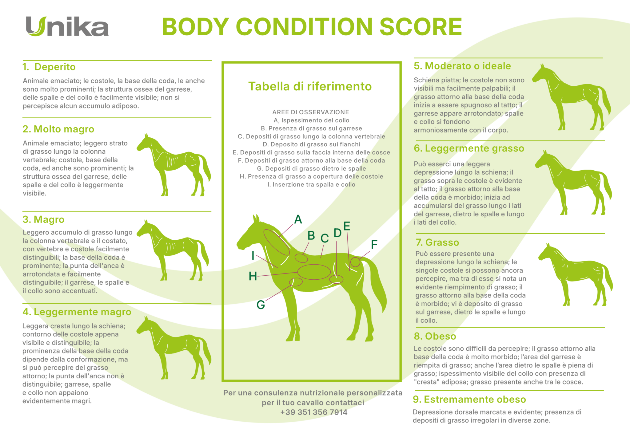 HORSE BODY CONDITION SCORE - Unika